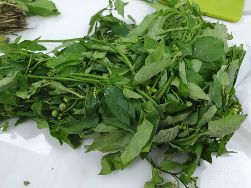 Spinach (Keerai) Varieties and its Benefits - Best Indian Grocery in ...